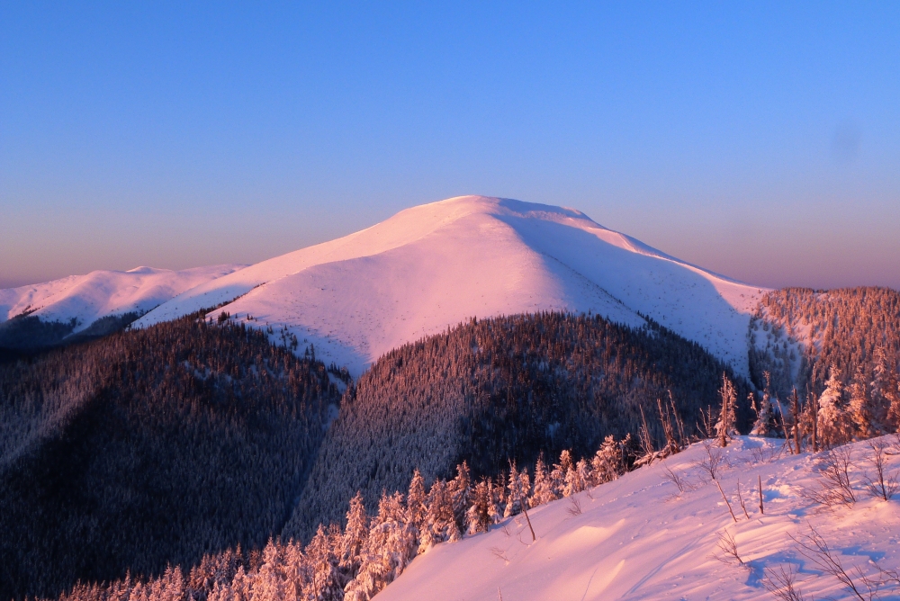 Wycieczka Gorgany i Czarnohora: Na Wysokiej Połoninie - Trekking - Ukraina Wycieczka Gorgany i Czarnohora: Na Wysokiej Połoninie - Trekking - Ukraina